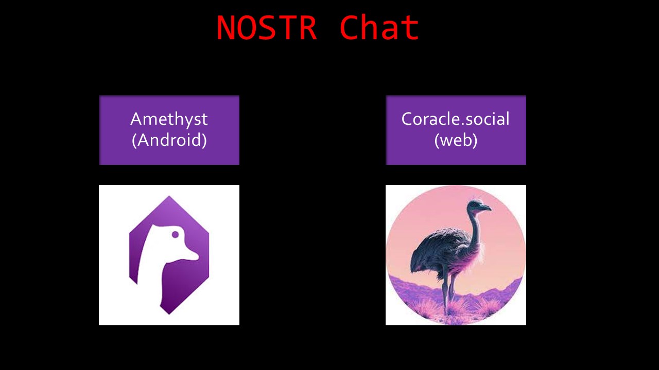 Nostr NL chat groep - Lightning.Video